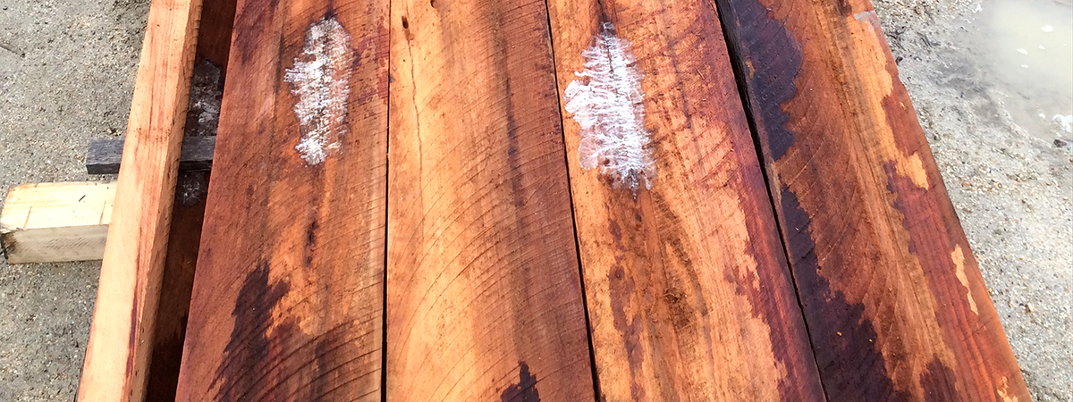 Rare and Unique Tasmanian Timbers - East Coast Specialised Timber