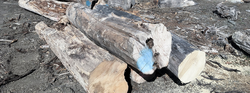 Rare and Unique Tasmanian Timbers - East Coast Specialised Timber